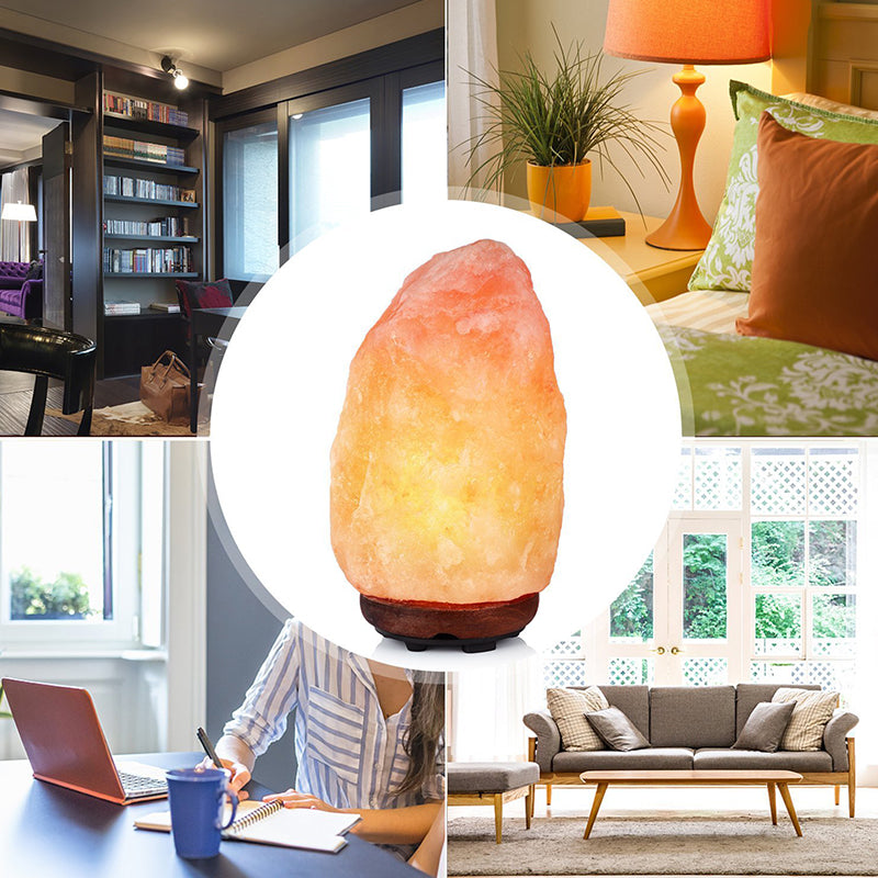 Hand Carved Himalayan Salt Lamp – Family Spin